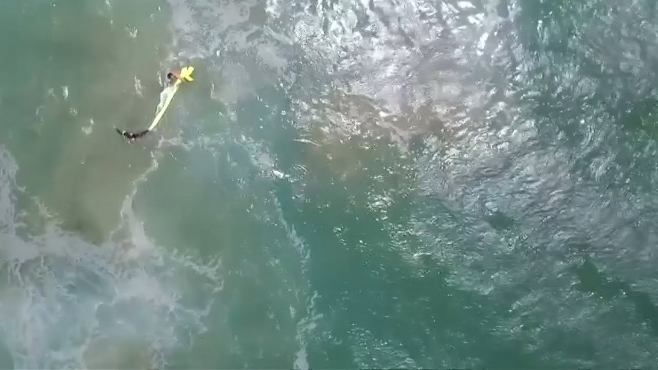 Drone rescues swimmers in Australia in world first