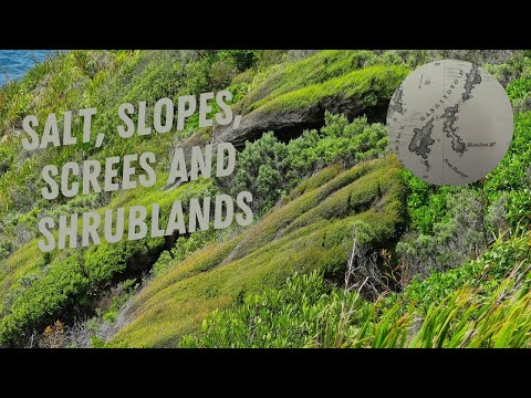 Salt, Slopes, Screes and Shrublands – Fauna Recovery New Zealand