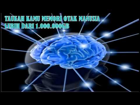 cara kerja memori otak manusia | nursesupdatedd