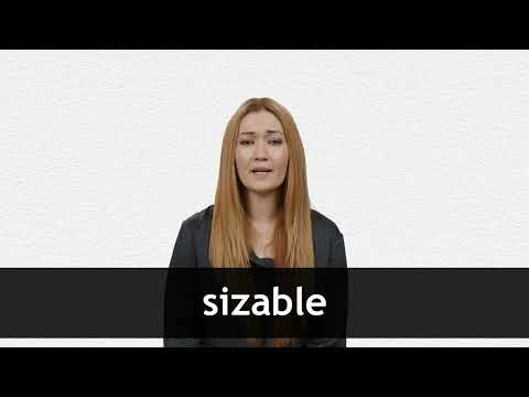SIZABLE definition and meaning | Collins English Dictionary
