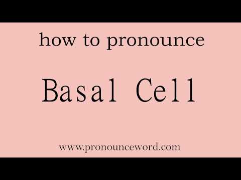 Basal Cell: How to pronounce Basal Cell in english (correct!).Start with B. Learn from me.
