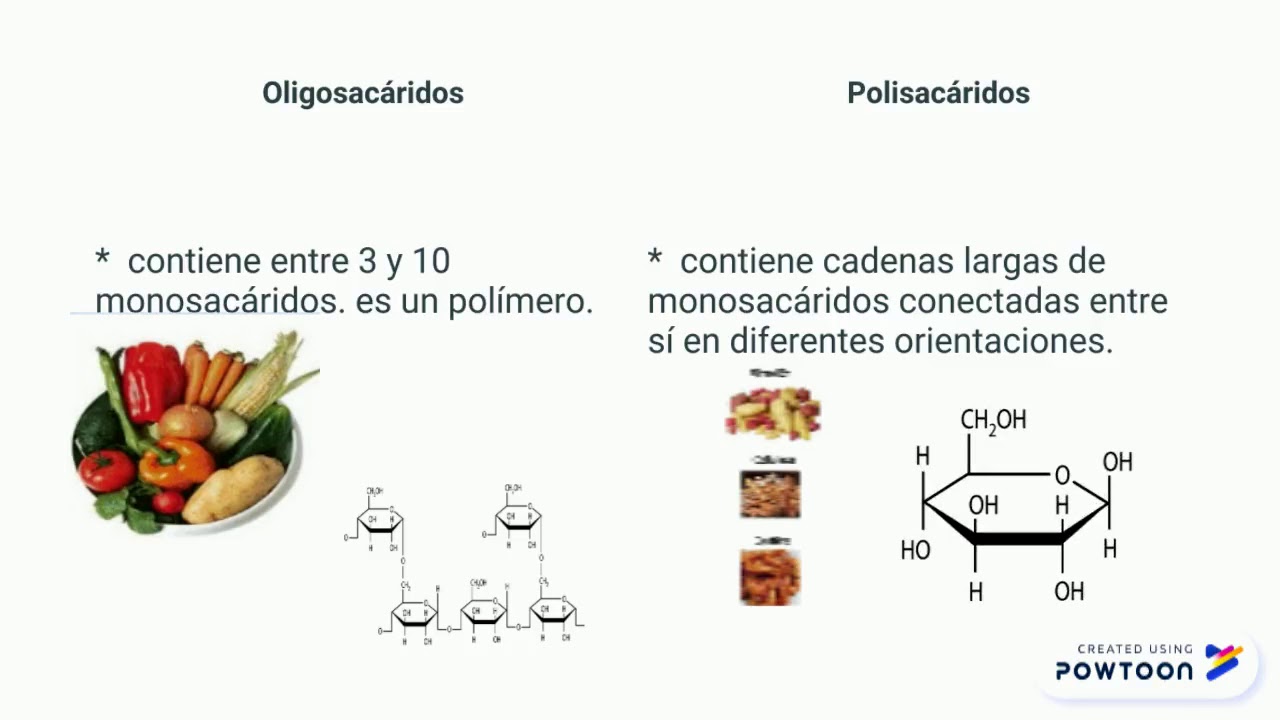 CARBOHIDRATOS.pptx