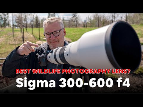 Sigma 300-600mm: Optimized to shoot wide open