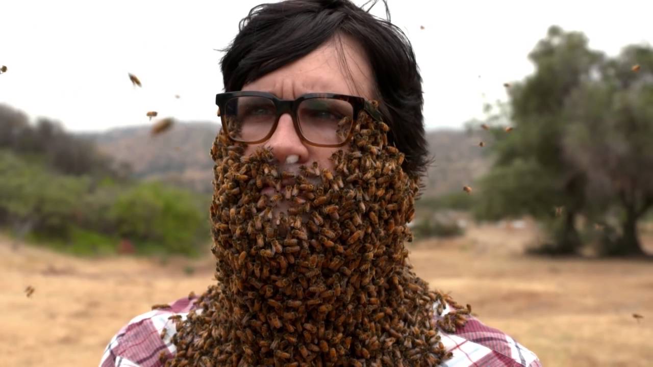 Save the Bees Promotional Video