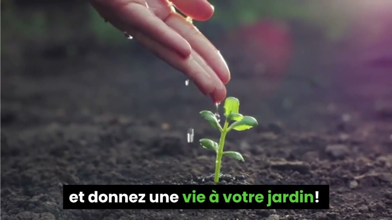 Entreprise de jardinage Top Jardinier Charleroi