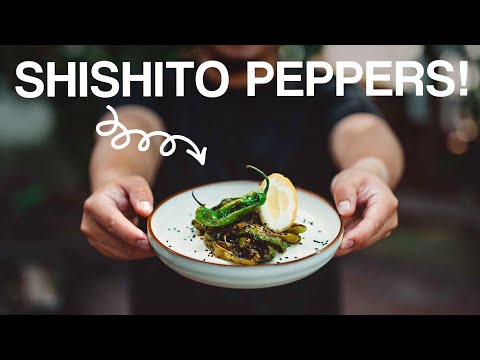 How to make Blistered Shishito Peppers!
