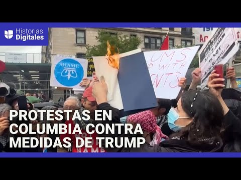 Guásima: beneficios, usos y sus propiedades
