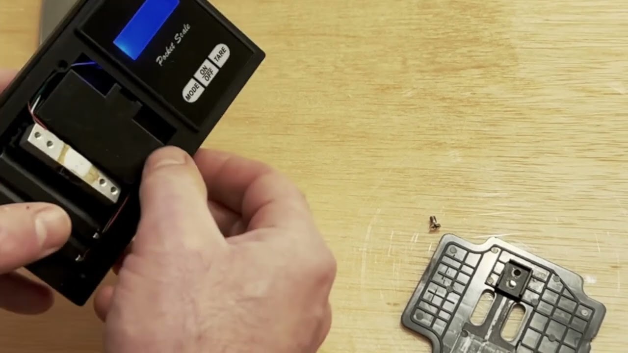8.1 CS Lesson 10 Digital Scale Dissection