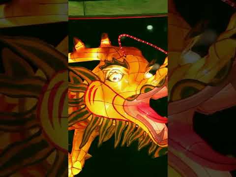 The Chinese New Year Animal That Will Change Your 2025