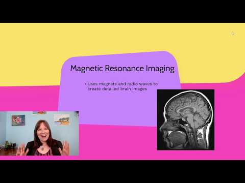 Brain Mapping: Intro Psychology, Biopsychology #6