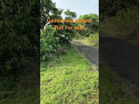 Beautiful location Gadeshwar Dam..plot for sale 3.5lakh per gunta #panvelfarmhouse