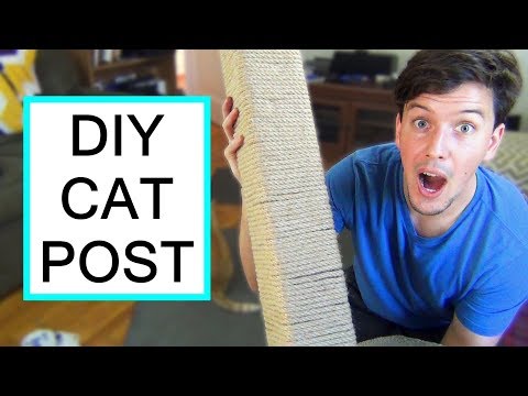 DIY Cat Scratching Post | TOUGH + DURABLE