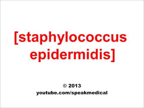 Pronounce Staphylococcus Epidermidis | SpeakMedical