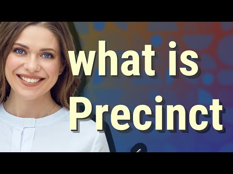 Precinct | meaning of Precinct