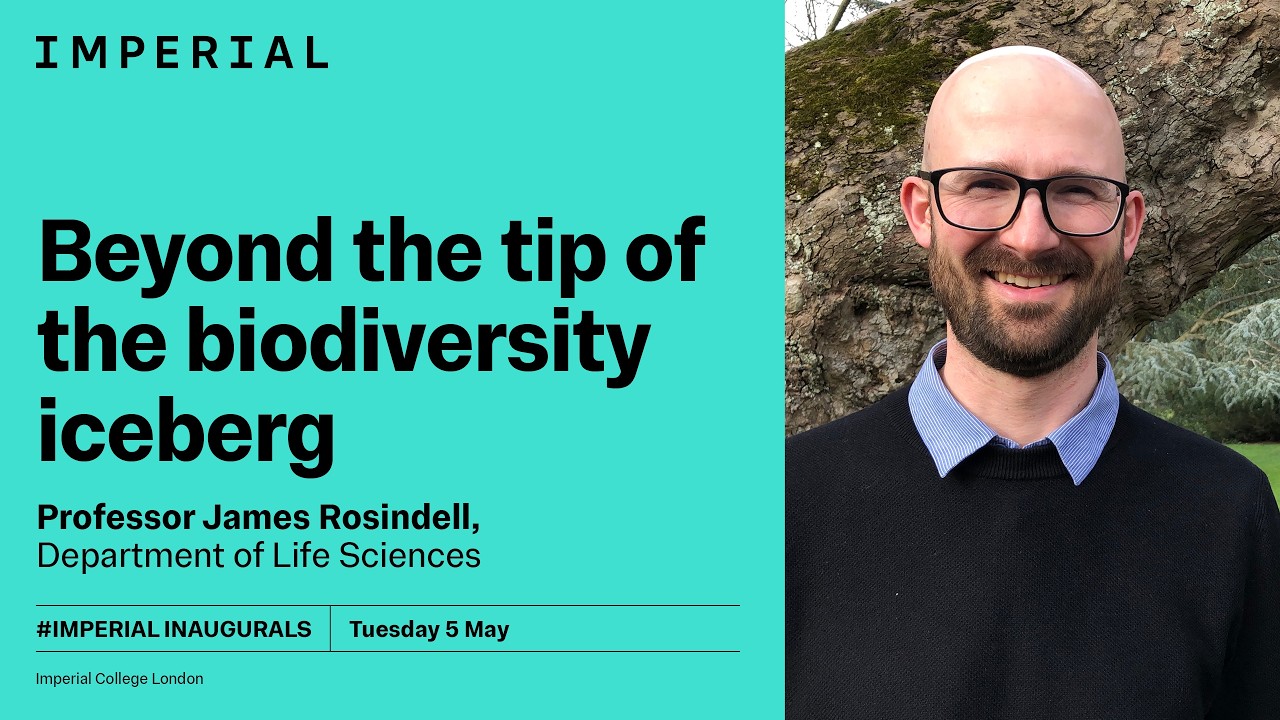 Beyond the tip of the biodiversity iceberg