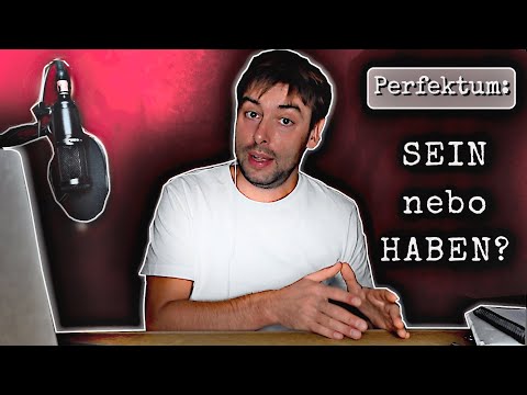 Němčina #15 SEIN nebo HABEN? | pohybová a nepohybová slovesa | minulý čas PERFEKTUM