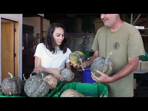Get to Know Palaʻai!