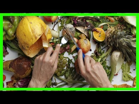 Australians throw away nearly $10bn in food waste each year- News N&N Chanel