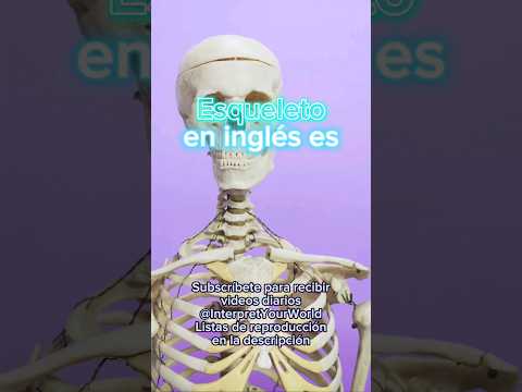 ESQUELETO en INGLÉS | Interpretación Consecutiva Medica de Excelencia