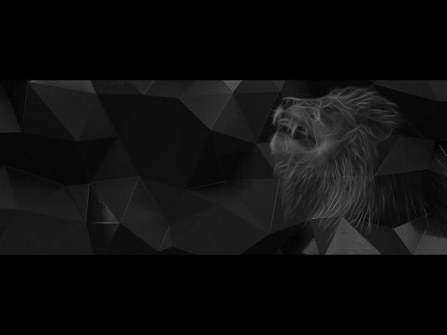 Servicios – SDL Carriers