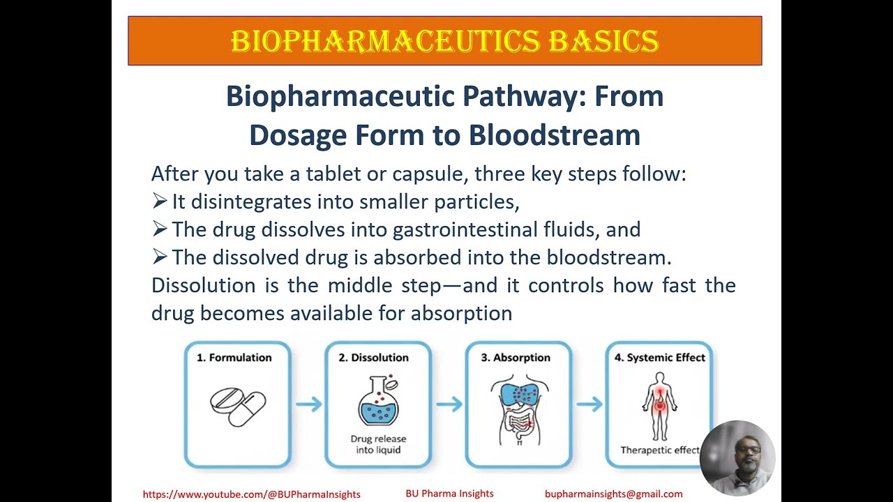 Dissolution 2/62: Biopharmaceutics Basics: Why Dissolution Testing Matters