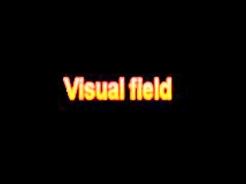 What Is The Definition Of Visual field