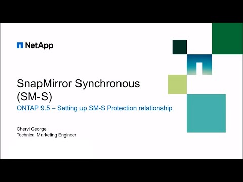 Setup a SnapMirror Synchronous (SM-S) Relationship Using OnCommand System Manager