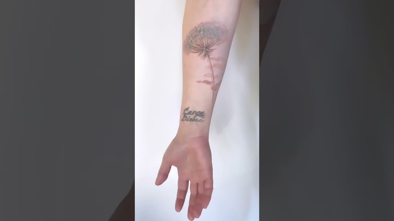Wildflower Watercolor Tattoo Start to Finish. Queen Anne’s Lace 👑 #tattoo #art #artprocess