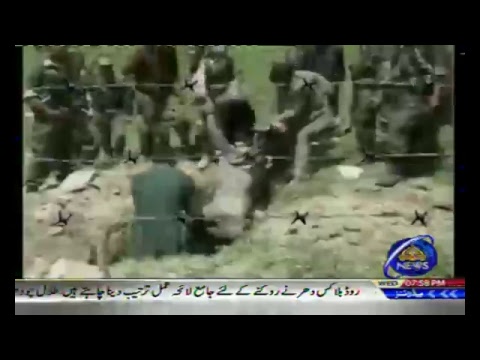 PTV News Live Stream