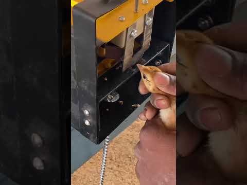 Debeaker - Debeaking Machine Latest Price, Manufacturers & Suppliers