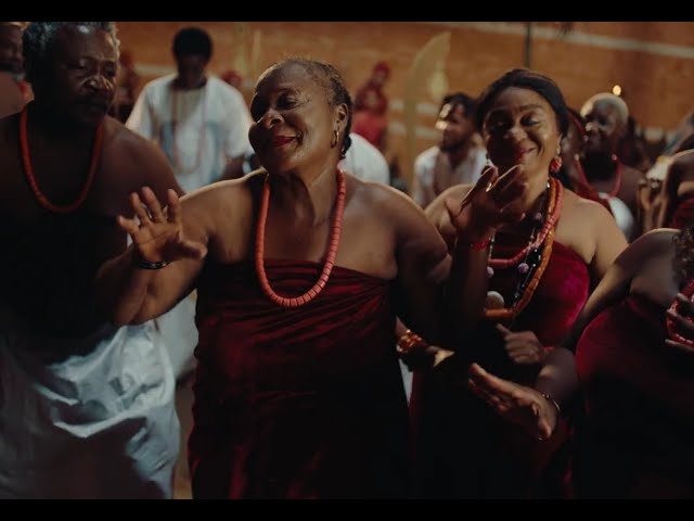 Shallipopi - Official Website