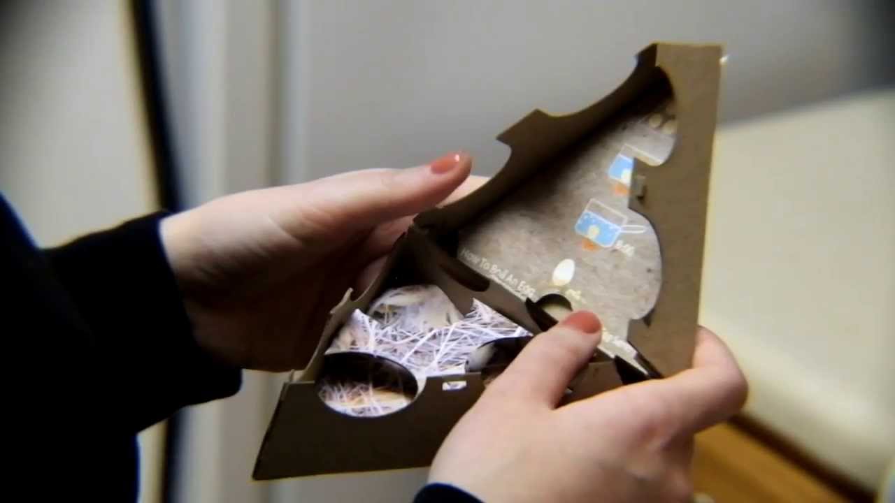 Cross the Road Egg Packaging HD