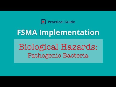 Food Safety Biological Hazards of Concern | Pathogenic Bacteria