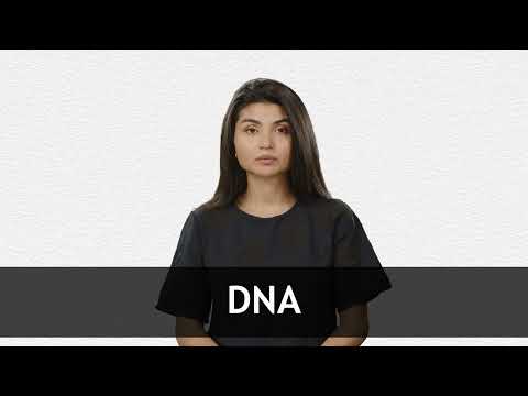 How to pronounce DNA in American English