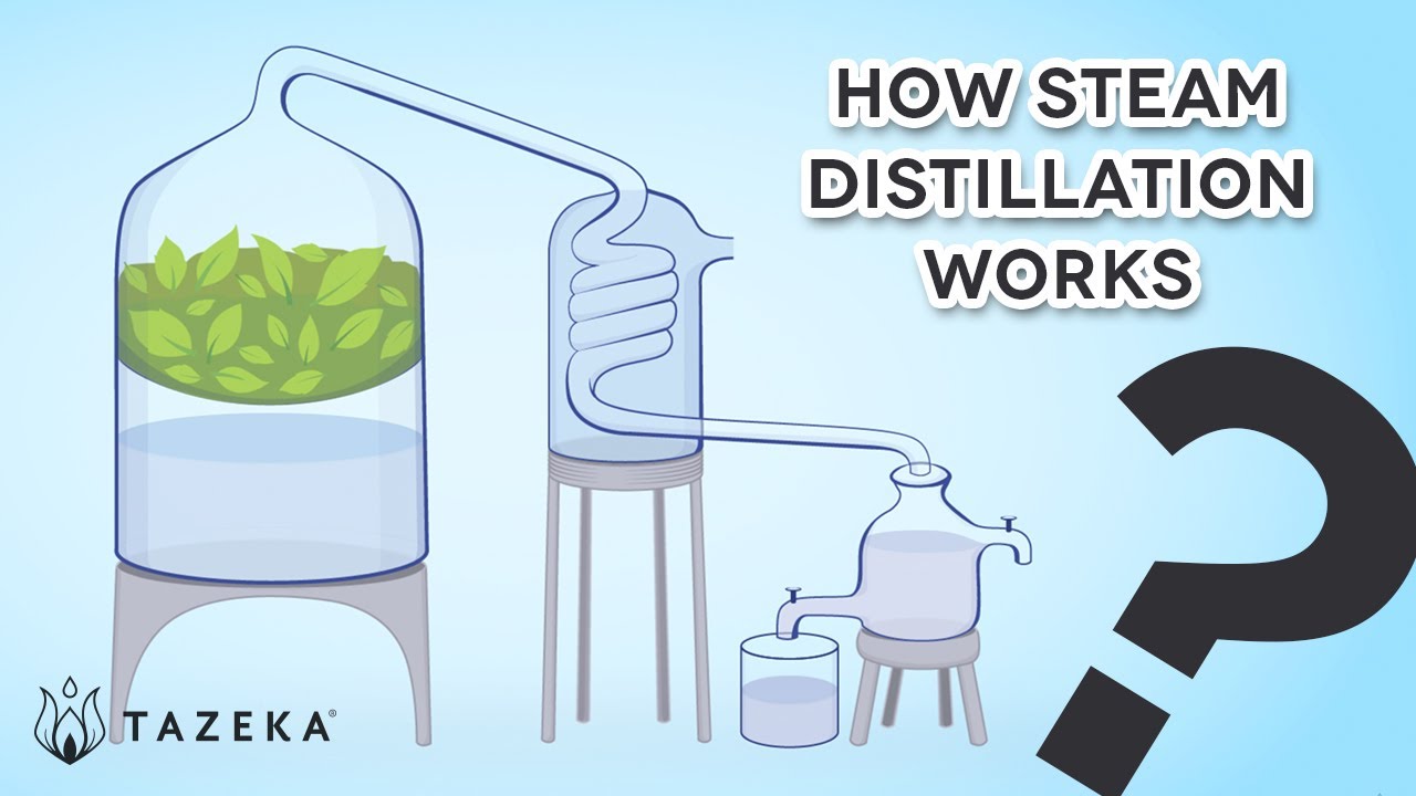 How Steam Distillation Works