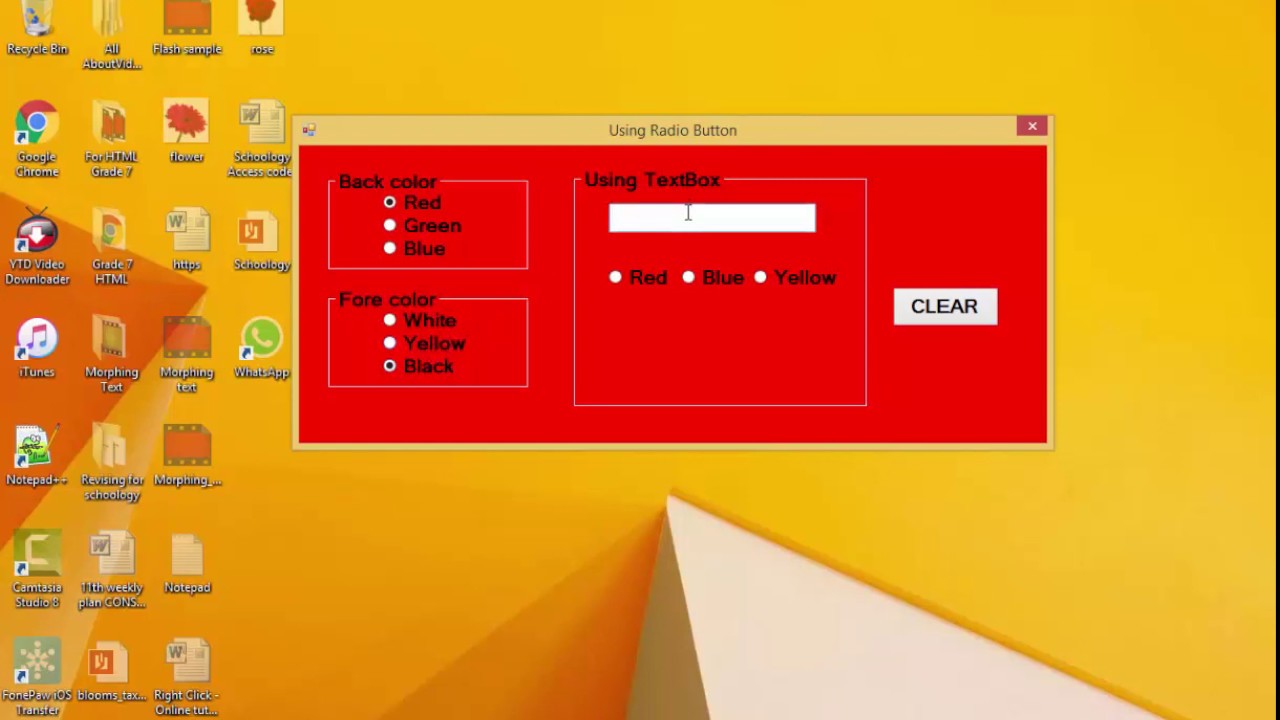 Using Radio Button in Visual Basic - 1st Part