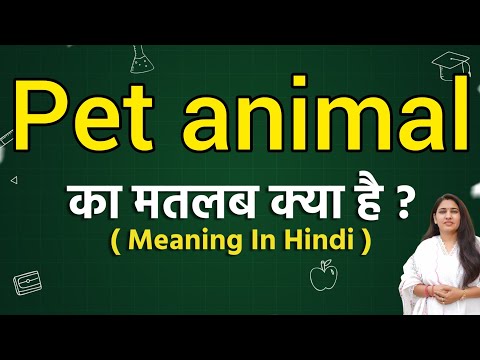 Pet animal meaning in hindi | Pet animal ka matlab kya hota hai | Word meaning