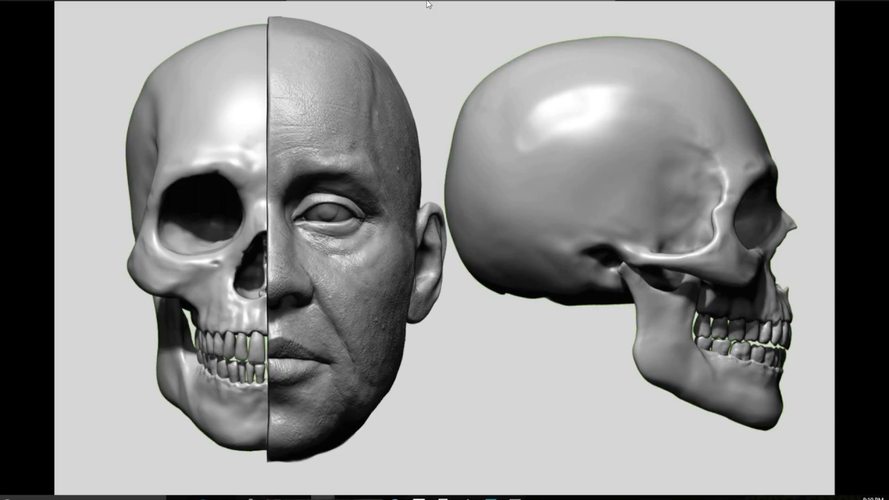 Zbrush Facial Anatomy Tutorial