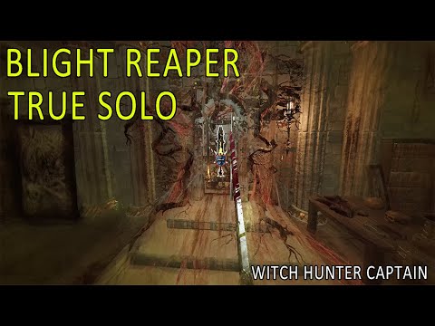 Steam Community :: Video :: Blight Reaper Legend True Solo (WHC)