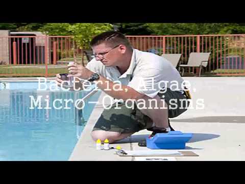 Pool Service Dallas (469)789-1550 Pool Maintenance Dallas | tom43638