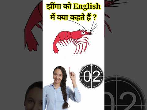झींगा को English में क्या कहते हैं #shorts | jhinga ko English mein kya Kahate Hain