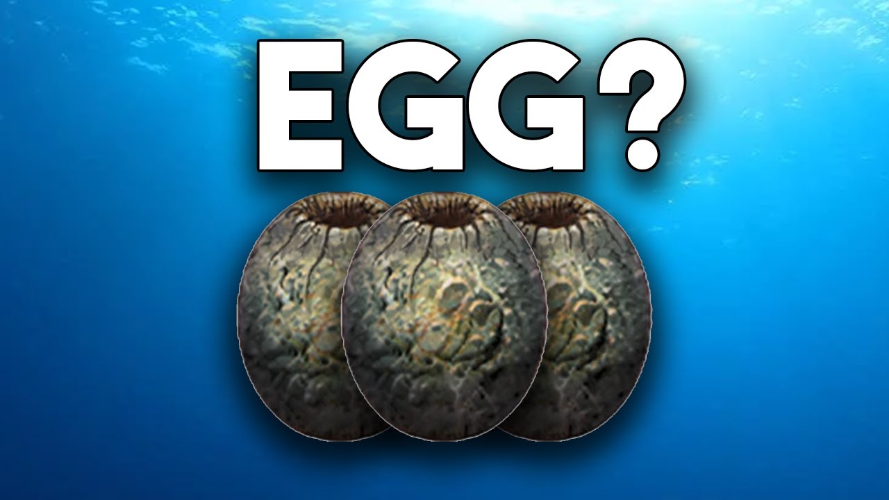Mudraptor Eggs | Barotrauma