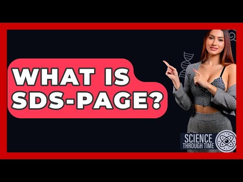 What Is SDS-PAGE? - Science Through Time