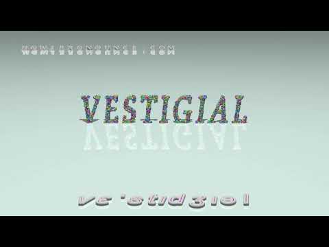 vestigial - pronunciation + Examples in sentences and phrases