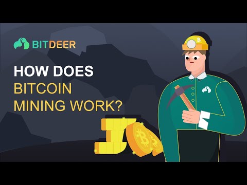 Bitdeer Reviews and Pricing 2023