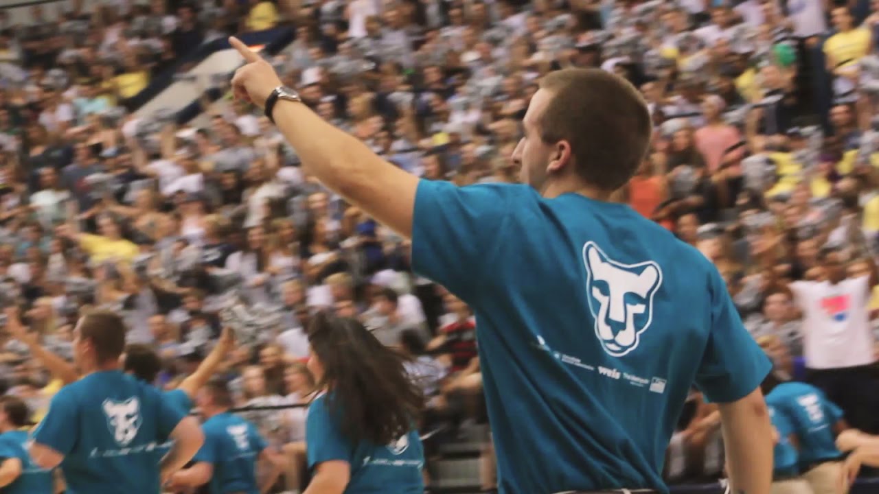 LION AMBASSADORS RECRUITMENT VIDEO 2016