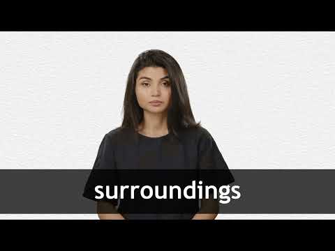 SURROUNDINGS - Definition & Translations | Collins English Dictionary
