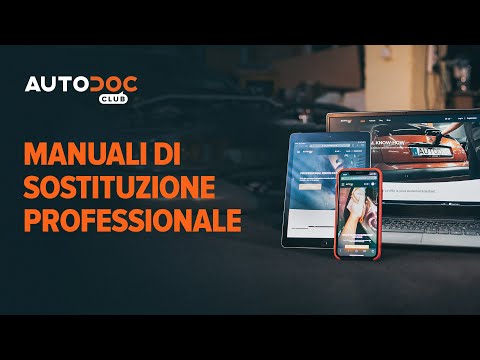 AUTODOC CLUB — Manuali di sostituzione professionale 🛠️