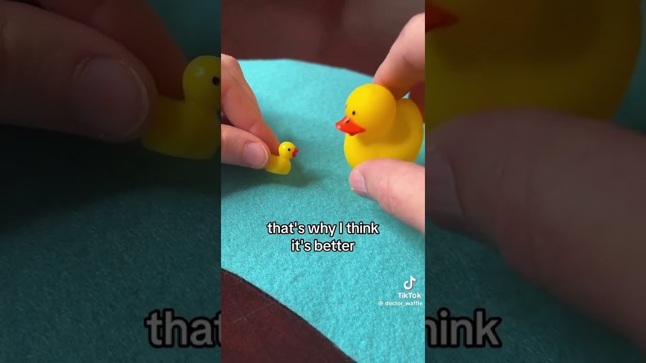 Doctor Waffle - Duck Relativity