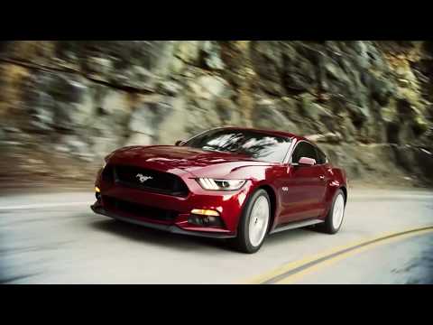 Learn More About the Ford College Graduate Program